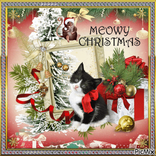 Meowy Christmas Pictures, Photos, and Images for Facebook, Tumblr ...