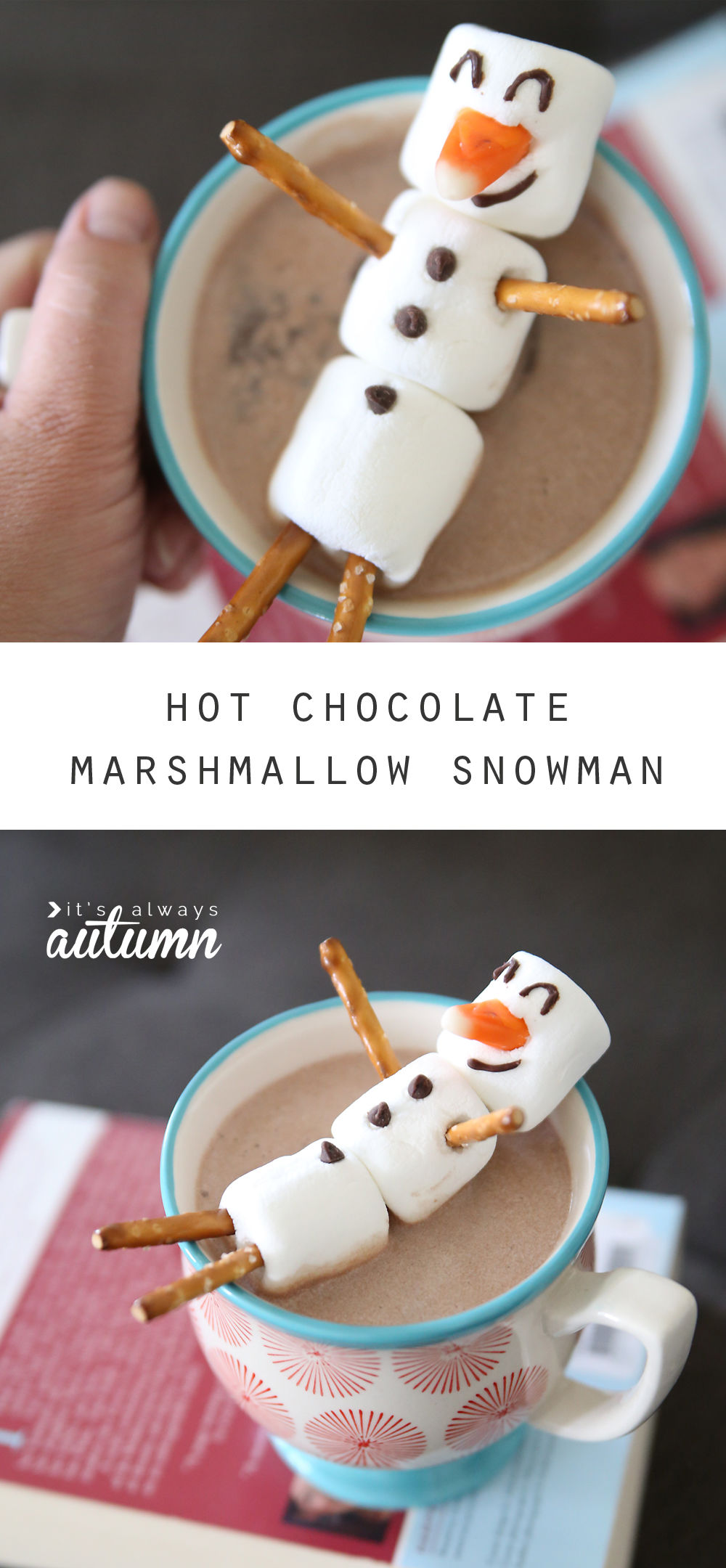 Fun Hot Chocolate Snowman Recipe Pictures, Photos, and Images for ...