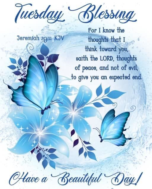 Blue Butterfly Tuesday Blessing Pictures, Photos, and Images for ...