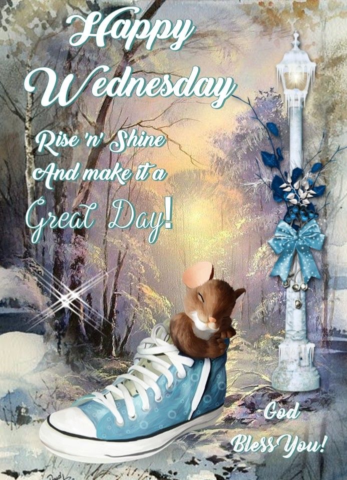 Mouse Sleeping In Shoe - Happy Wednesday Pictures, Photos, and Images ...