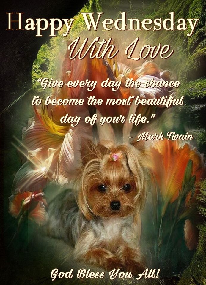 Happy Wednesday With Love Pictures, Photos, and Images for Facebook ...