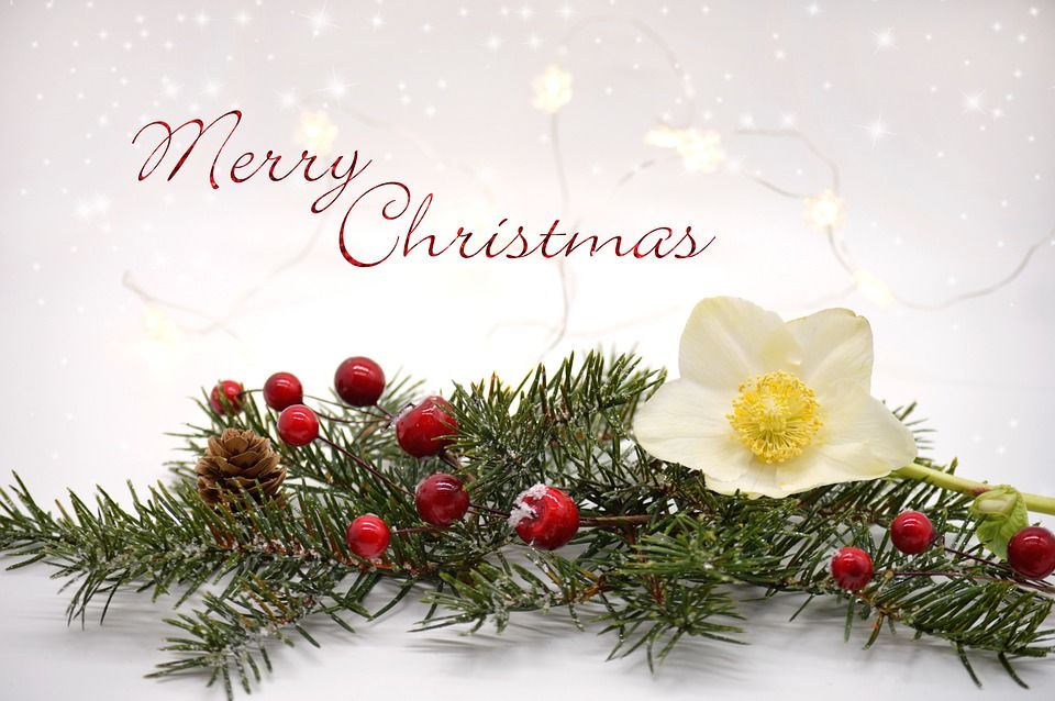 Merry Christmas Motif Pictures, Photos, and Images for Facebook, Tumblr ...