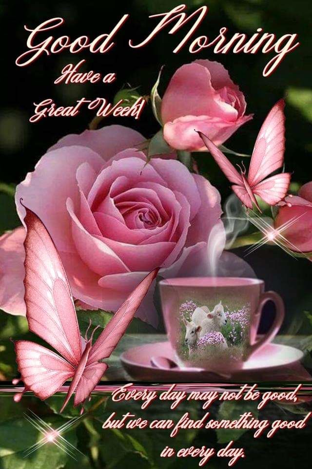 Good Morning. Have Great Week! Pictures, Photos, and Images for ...