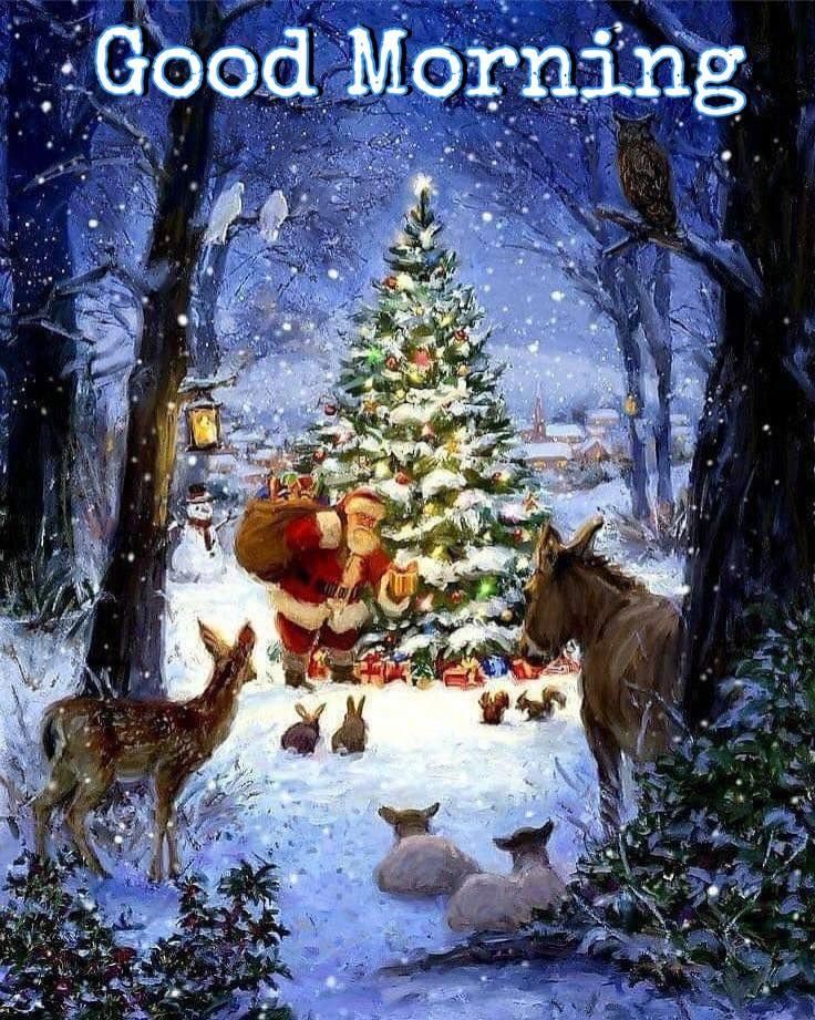 Santa In Forest With Animals - Good Morning Pictures, Photos, and ...