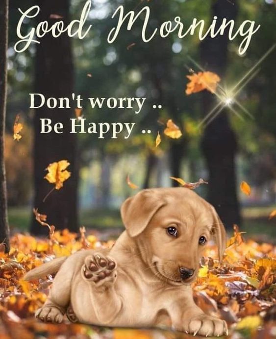 Good Morning. Don't Worry, Be Happy Pictures, Photos, and Images for ...