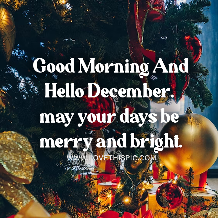 Good Morning And Hello December, May Your Days Be Merry And Bright ...