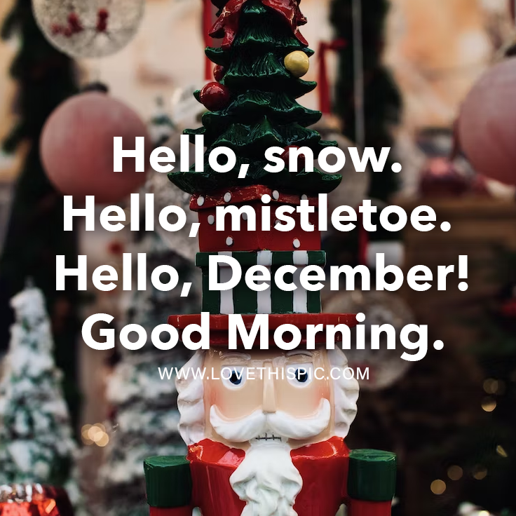 Hello, Snow. Hello, Mistletoe. Hello, December! Good Morning Pictures ...