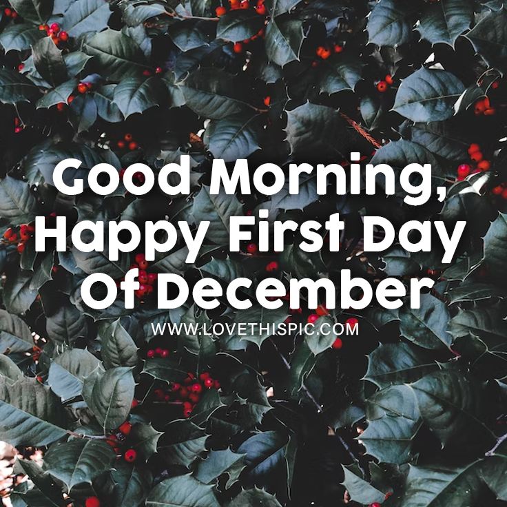 Good Morning, Happy First Day Of December Pictures, Photos, and Images ...