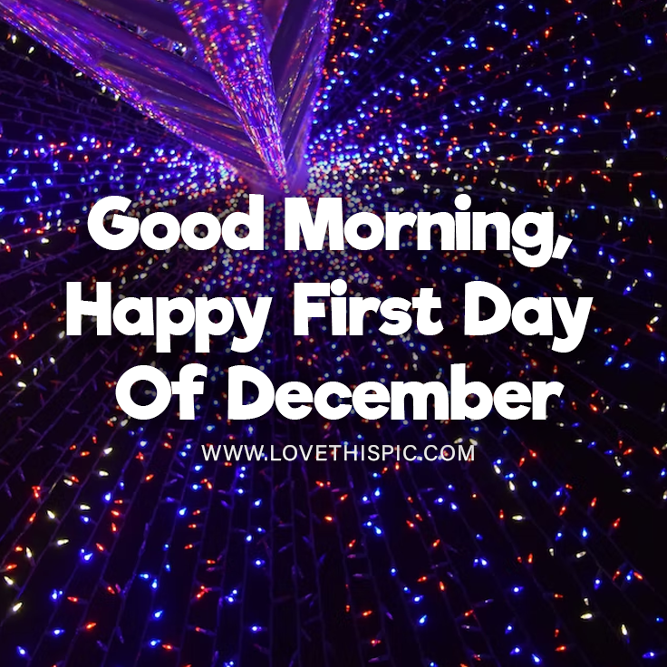Purple And Red String Lights - Good Morning, Happy First Day Of ...