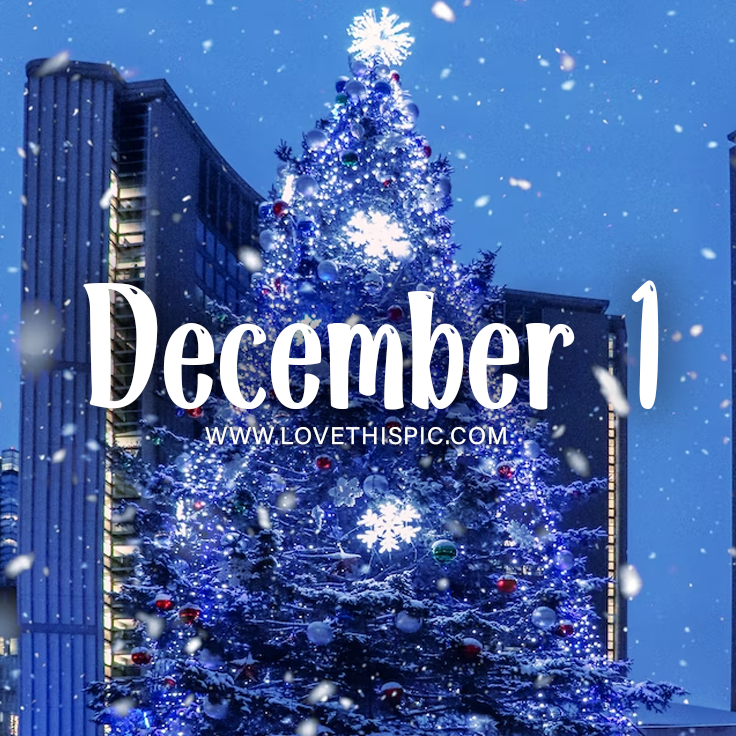 Blue Christmas Tree - December 1 Pictures, Photos, and Images for ...