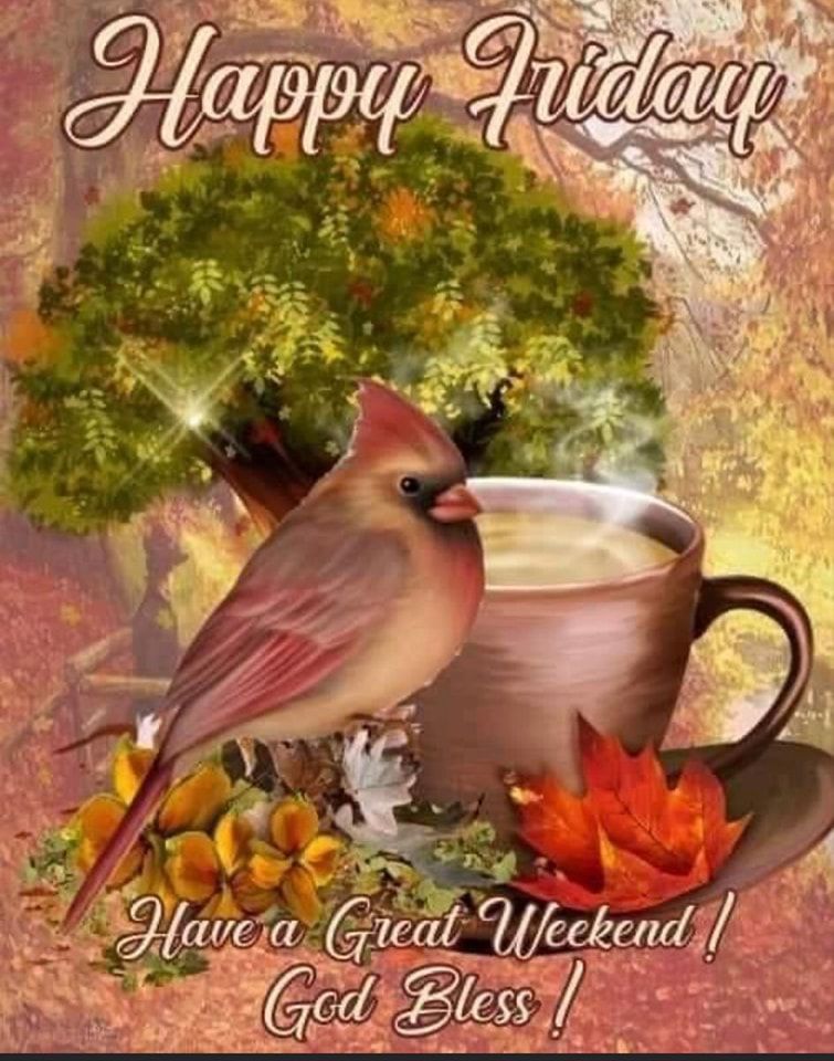 Happy Friday Bird With Tea Pictures, Photos, and Images for Facebook ...