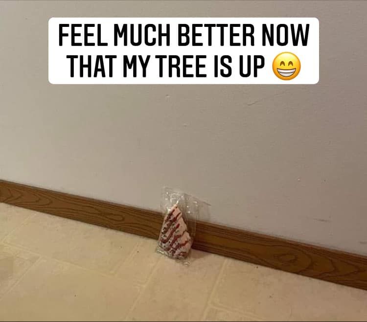 Feel Much Better Now That My Tree Is Up Pictures, Photos, and Images ...
