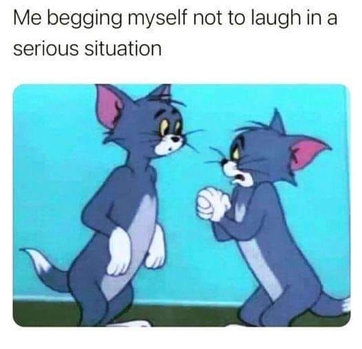 Me Begging Myself Not To Laugh In A Serious Situation Pictures, Photos ...