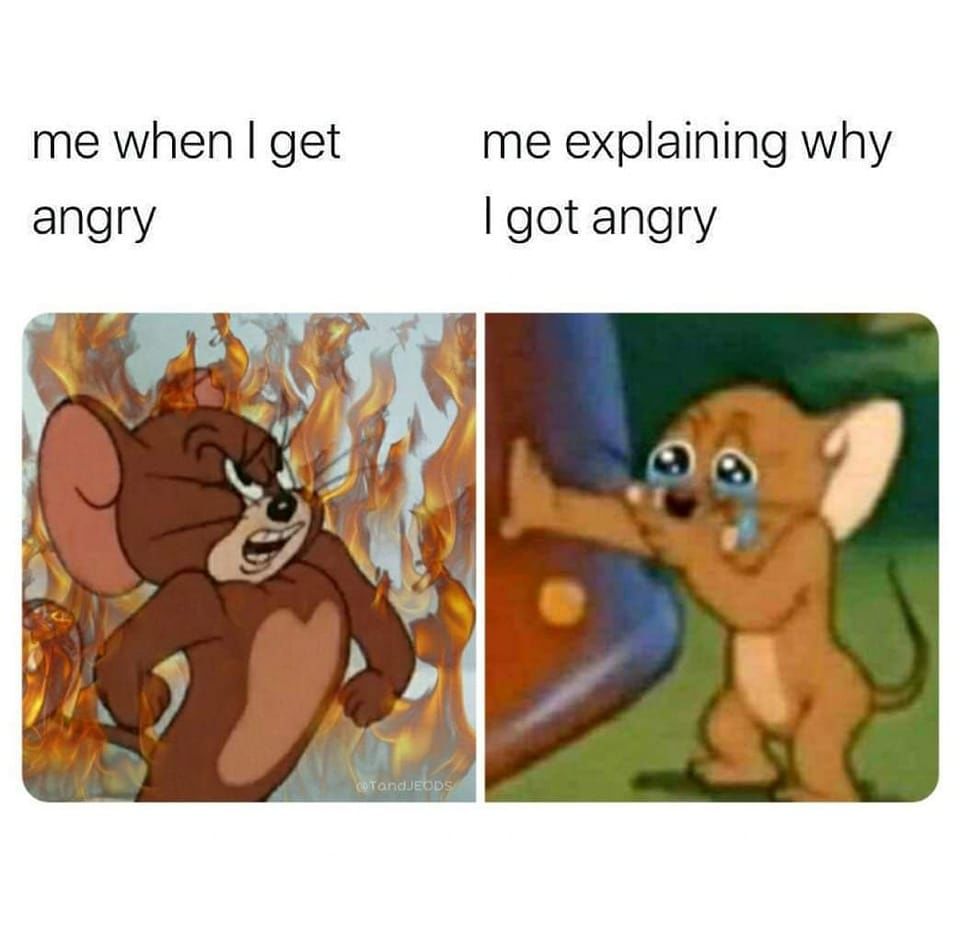 Me When I Get Angry Vs Me Explaining Why I Got Angry Pictures, Photos ...