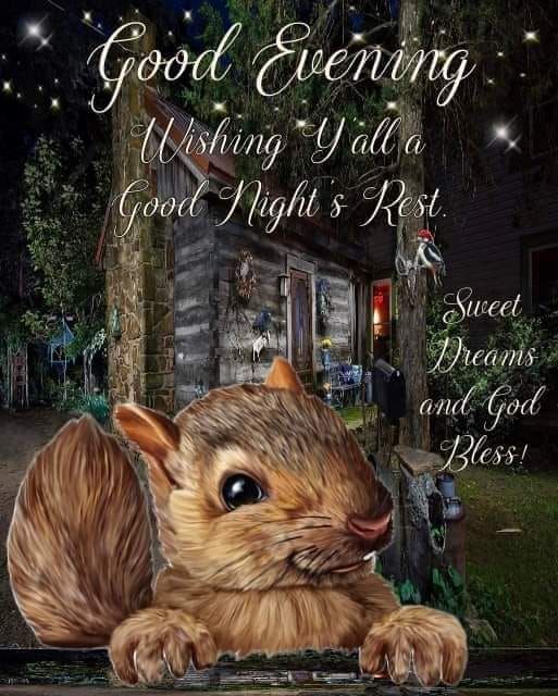Wishing Yall A Good Night's Rest. Good Evening Pictures, Photos, and ...