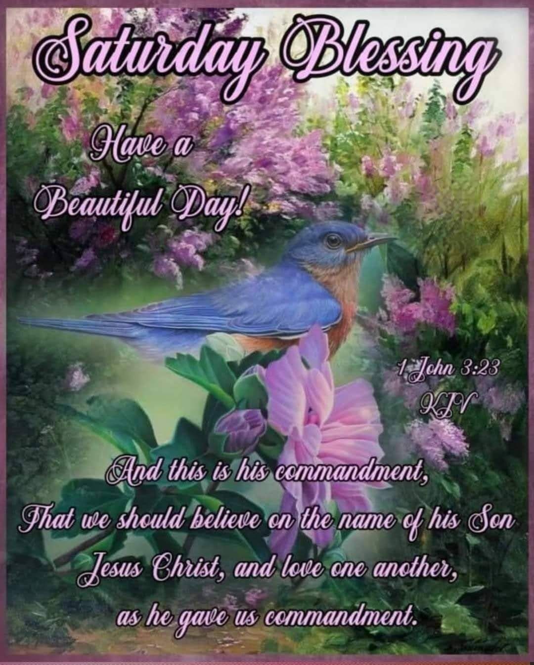 Saturday Blessing Scripture Quote Pictures, Photos, and Images for ...