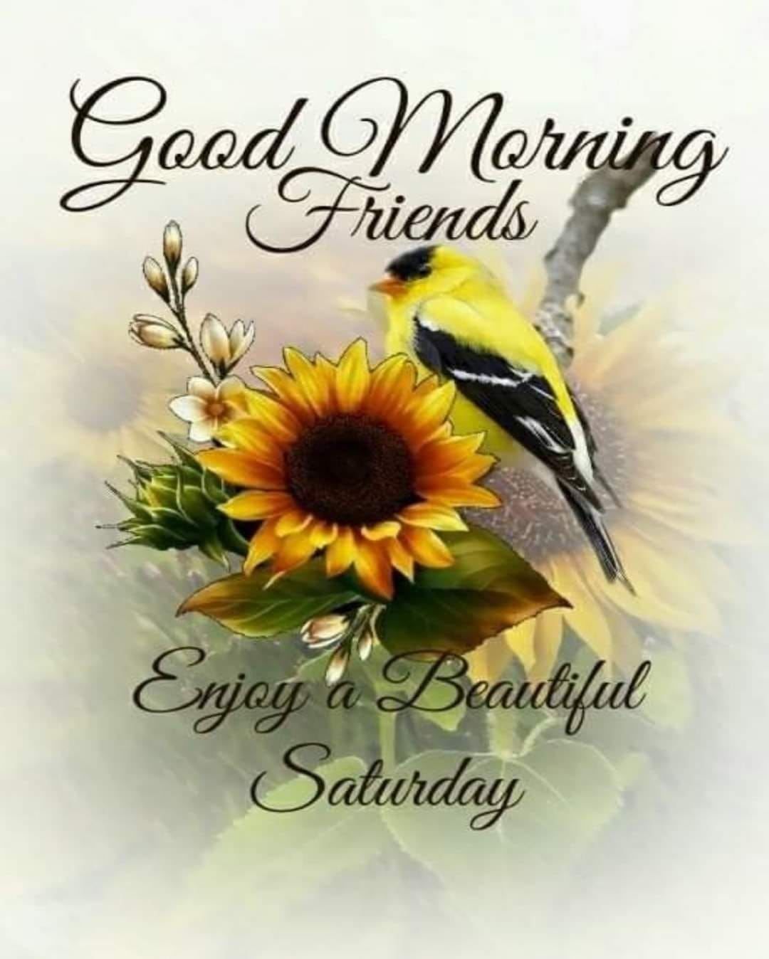 Bird On Sunflower - Good Morning Friends. Enjoy A Beautiful Saturday ...