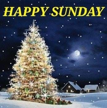 Winter Christmas Tree - Happy Sunday Pictures, Photos, and Images for ...