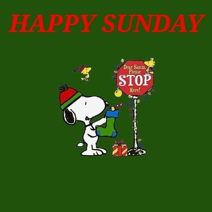 Snoopy Happy Sunday Holiday Quote Pictures, Photos, and Images for ...