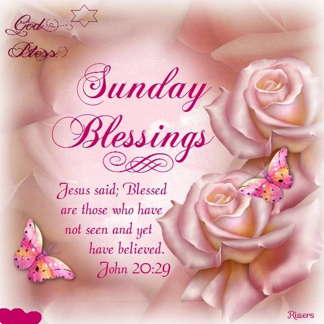 Sunday Blessing Light Pink Rose Quote Pictures, Photos, and Images for ...