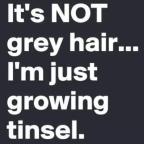 It's Not Grey Hair...I'm Just Growing Tinsel. Pictures, Photos, and ...
