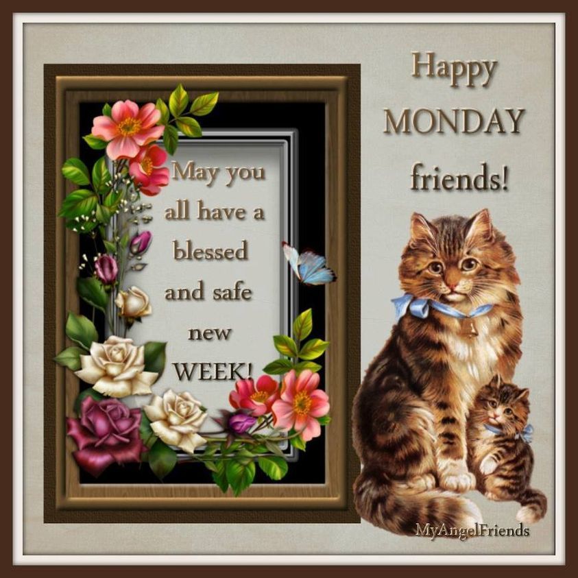 Beautiful Cat And Kitten Happy Monday Quote Pictures, Photos, and ...