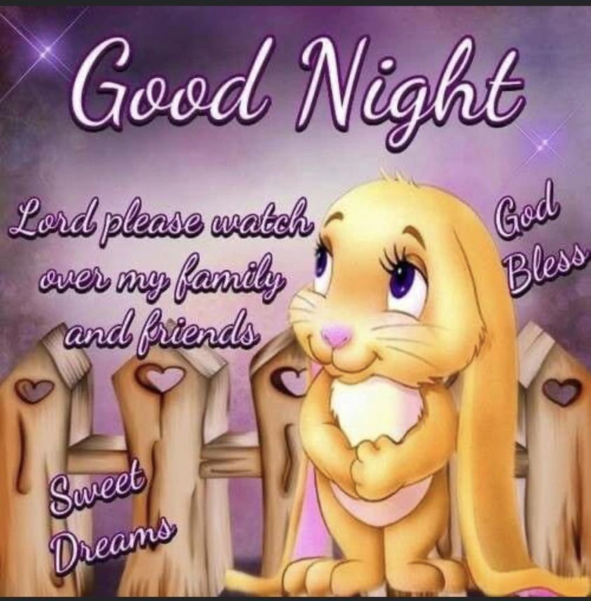 Praying Bunny Good Night Quote Pictures, Photos, and Images for ...