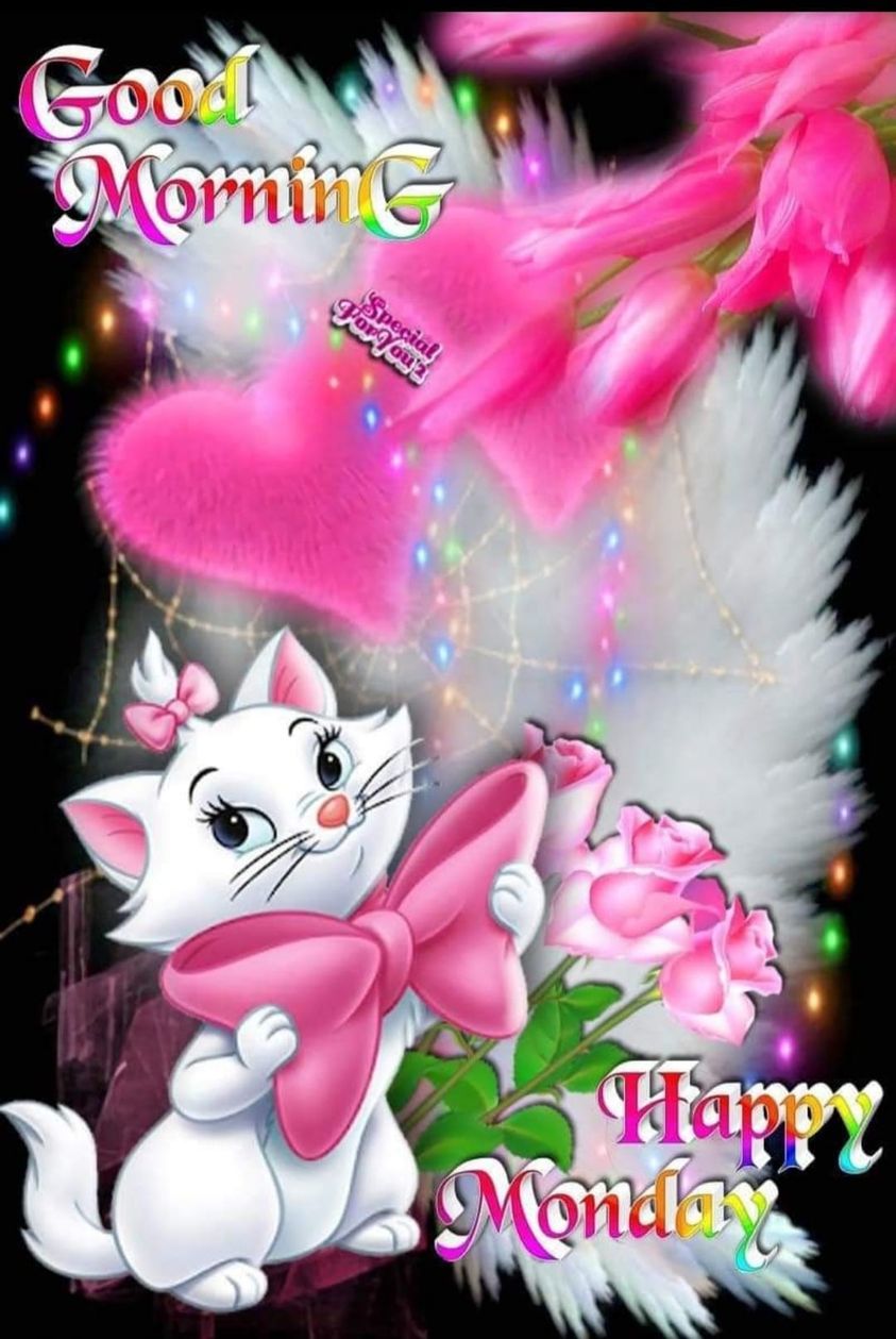 Fancy Cat - Good Morning, Happy Monday Pictures, Photos, and Images for ...