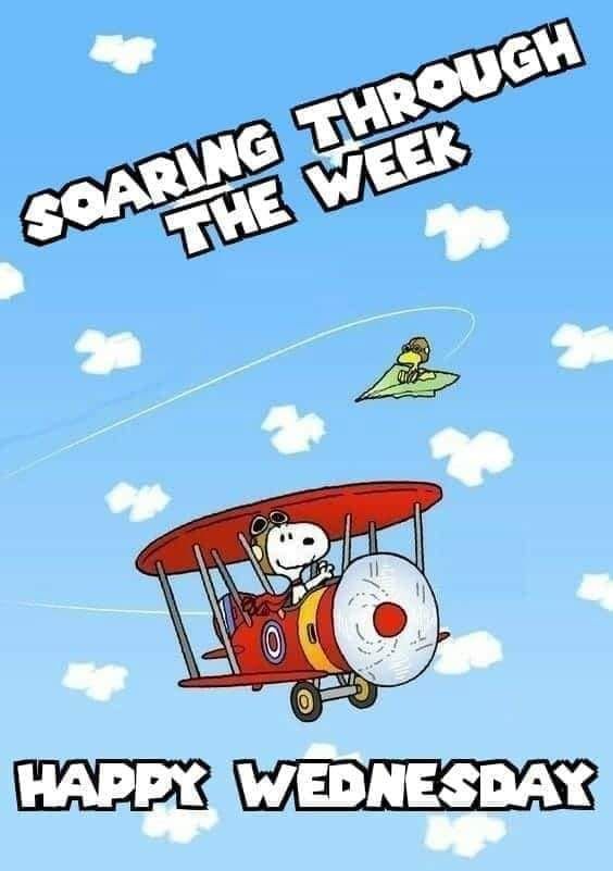 Soaring Through The Week. Happy Wednesday Pictures, Photos, and Images ...