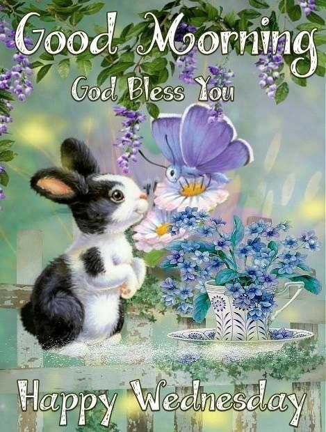 Bunny And Butterfly - Good Morning, God Bless You, Happy Wednesday ...