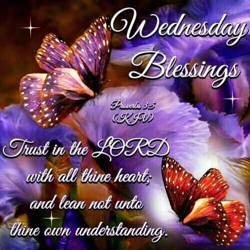 Floral Butterfly - Wednesday Blessings Pictures, Photos, and Images for ...