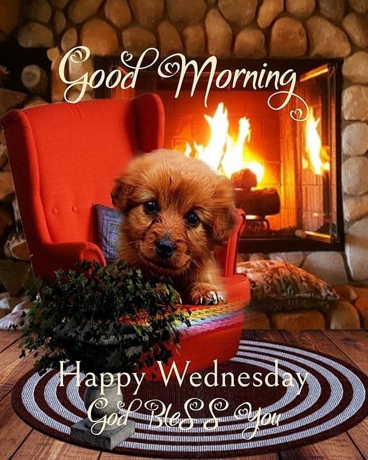 Puppy Near Fireplace - Good Morning, Happy Wednesday Pictures, Photos ...
