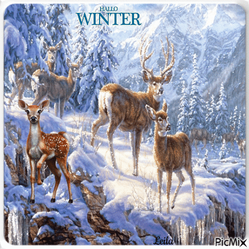 Hello Winter Deer Pictures, Photos, and Images for Facebook, Tumblr ...