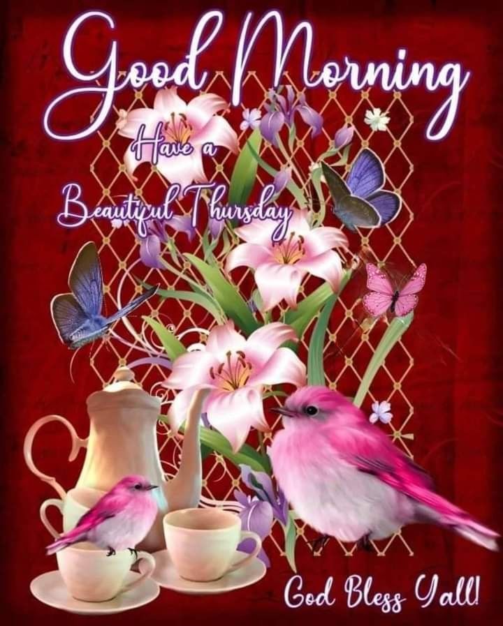 Good Morning: Have A Beautiful Thursday Pictures, Photos, and Images ...