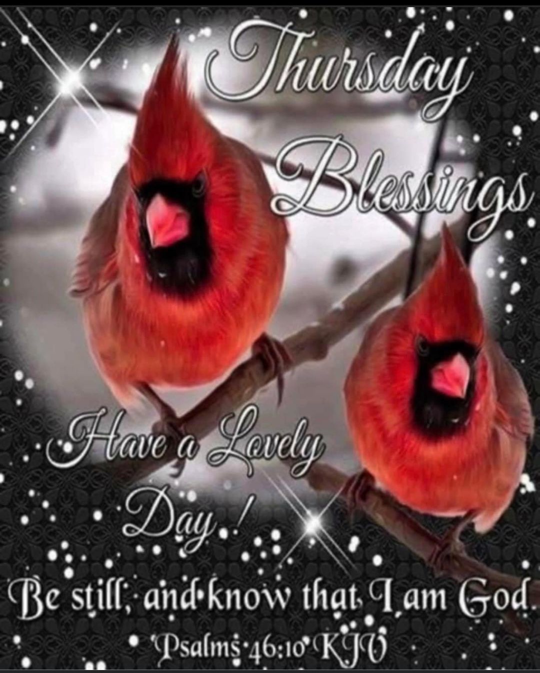 Snowy Cardinal Thursday Blessing Quote Pictures, Photos, and Images for ...