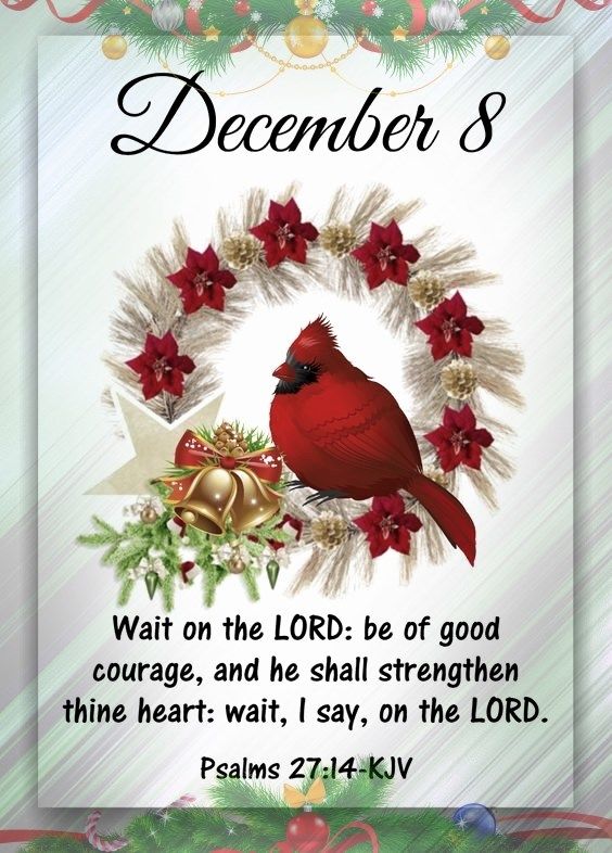 Christmas Wreath & Red Cardinal - December 8 Quote Pictures, Photos ...
