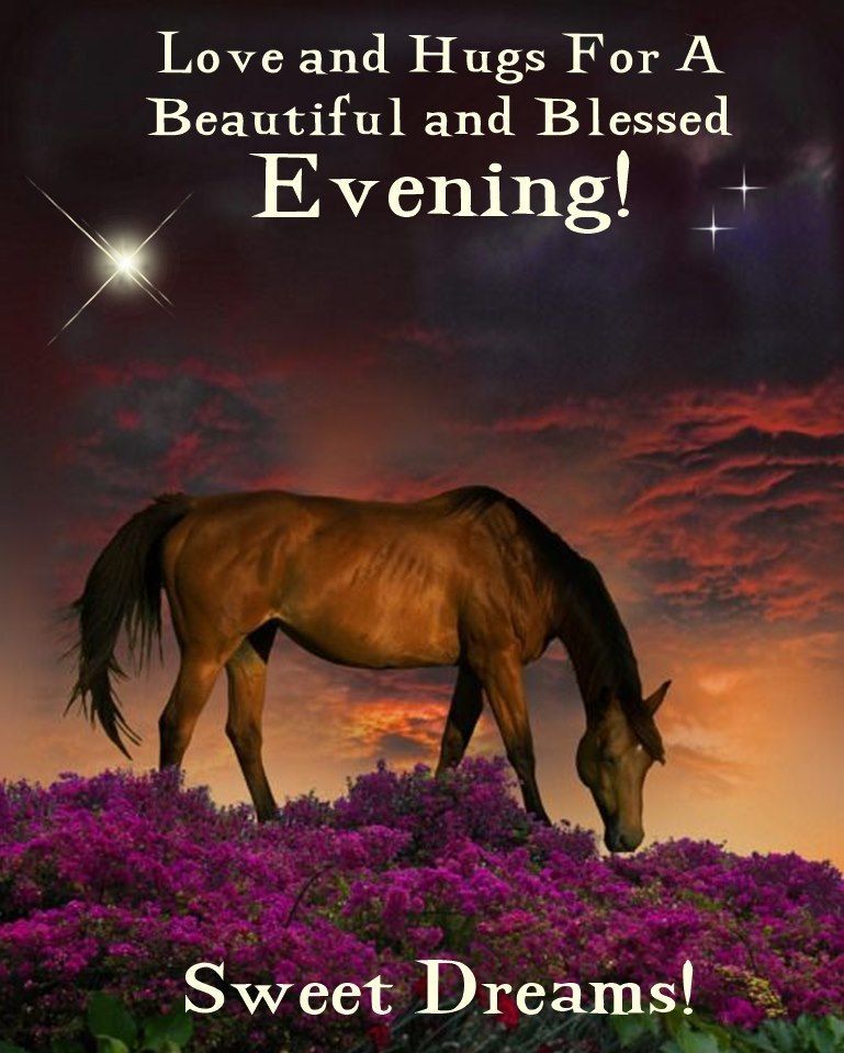 Love And Hugs For The Evening Pictures, Photos, and Images for Facebook ...