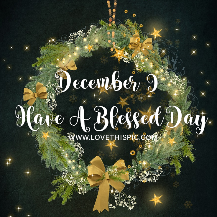 Starry Christmas Wreath - December 9, Have A Blessed Day Pictures ...