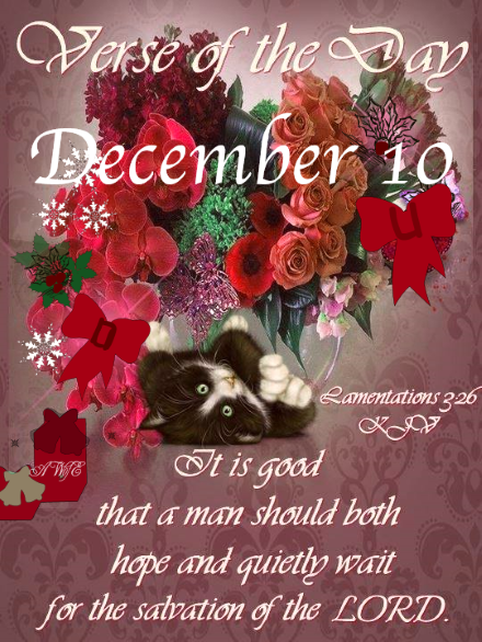 Verse Of The Day December 10 Pictures, Photos, and Images for Facebook ...