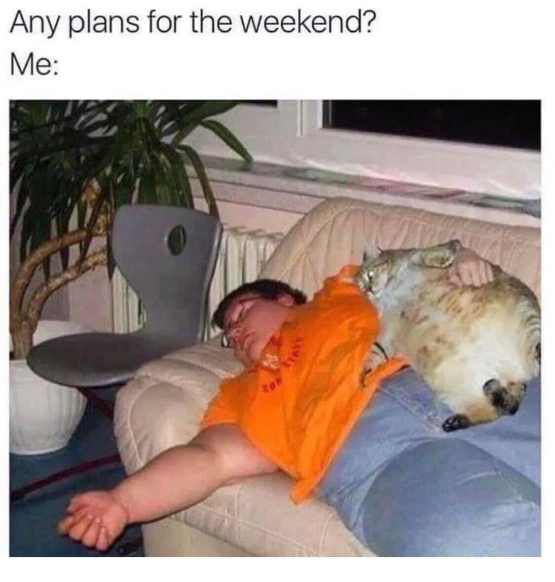 Any Plans For The Weekend? Pictures, Photos, and Images for Facebook ...