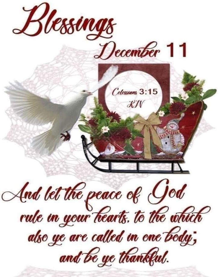 Blessings For December 11 Pictures, Photos, and Images for Facebook ...