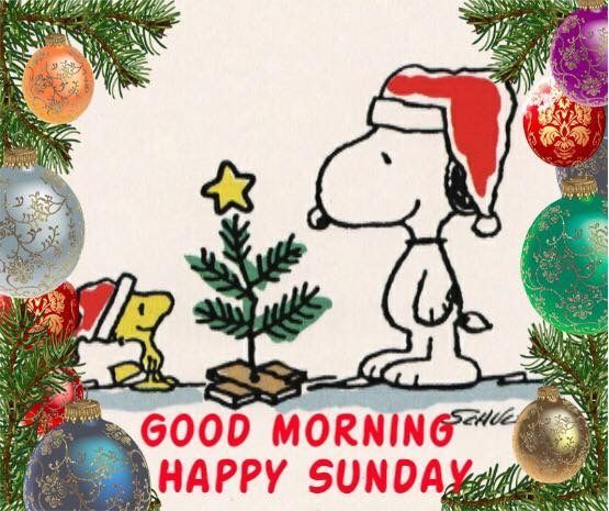 Snoopy & Woodstock By Tree - Good Morning Happy Sunday Pictures, Photos ...