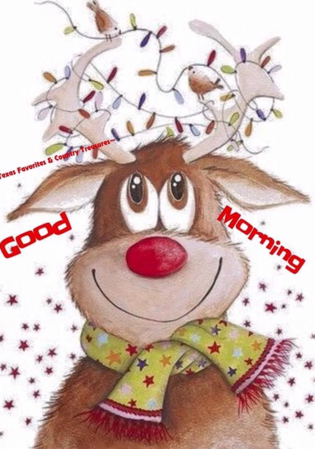 Smiling Reindeer With Christmas Lights - Good Morning Pictures, Photos ...
