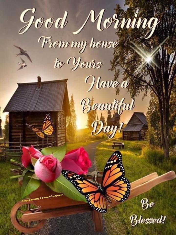 Butterfly And Roses - Good Morning From My House To Yours. Pictures ...