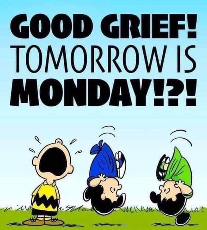 Good Grief! Tomorrow Is Monday?! Pictures, Photos, and Images for ...