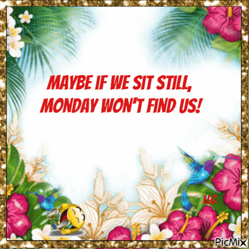 Maybe If We Sit Still, Monday Won't Find Us. Pictures, Photos, and ...