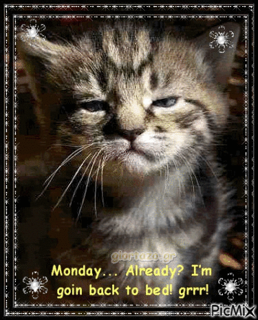 Monday...already? I'm Going Back To Bed Pictures, Photos, and Images ...