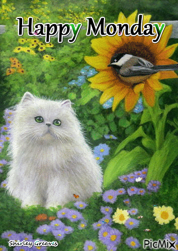 Happy Monday With Sunflower And Cat Pictures, Photos, and Images for ...