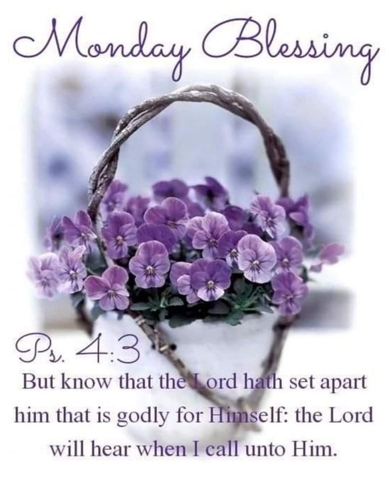 Purple Floral Monday Blessing Pictures, Photos, and Images for Facebook ...