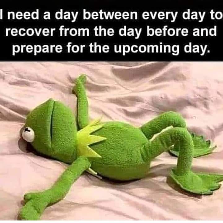 I Need A Day Between Every Day To Recover From The Day Before And ...